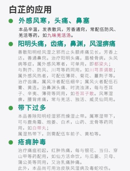 白芷不适宜人群有哪些_白芷禁忌人群-第3张图片-山城妙识 白芷不适宜人群有哪些_白芷禁忌人群-第3张图片-山城妙识