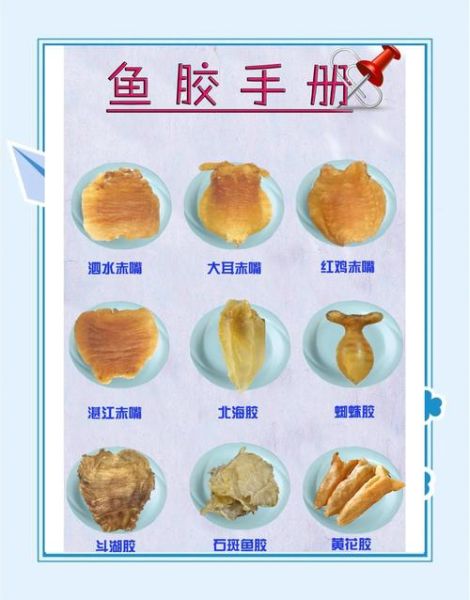 鱼胶是什么味道_鱼胶口感怎么样-第2张图片-山城妙识