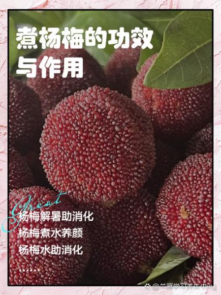 吃杨梅有什么好处_杨梅的功效与作用-第2张图片-山城妙识 吃杨梅有什么好处_杨梅的功效与作用-第2张图片-山城妙识