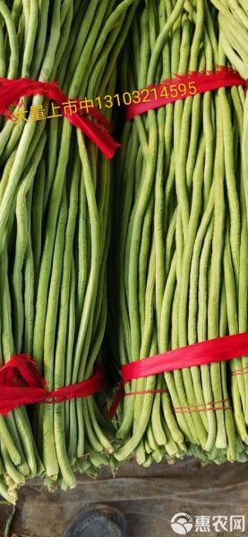 长豇豆图片_长豇豆怎么挑选-第2张图片-山城妙识 长豇豆图片_长豇豆怎么挑选-第2张图片-山城妙识