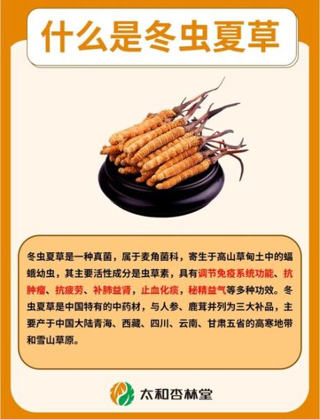 虫草怎么吃效果最好_虫草的功效与作用-第1张图片-山城妙识