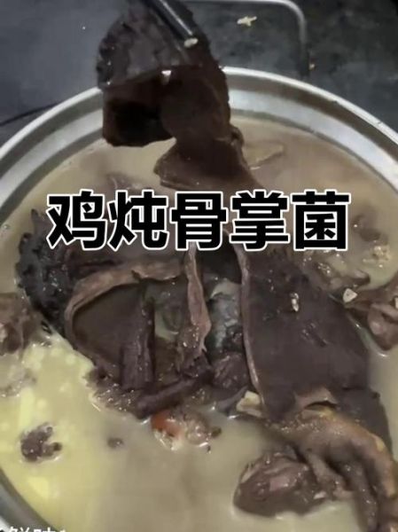 虎掌菌怎么吃_虎掌菌做法大全-第3张图片-山城妙识