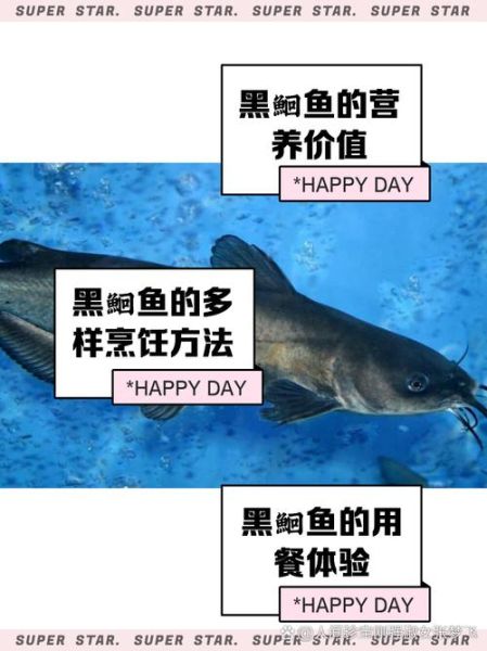 黑鲔鱼是什么鱼_黑鲔鱼和金枪鱼区别-第2张图片-山城妙识 黑鲔鱼是什么鱼_黑鲔鱼和金枪鱼区别-第2张图片-山城妙识