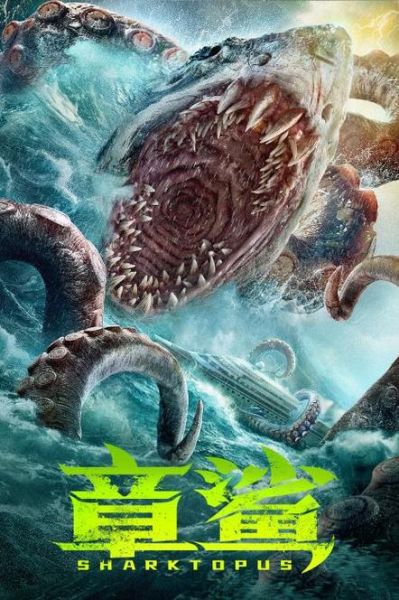 鲨鱼vs巨枪乌贼谁更强_深海终极对决-第3张图片-山城妙识