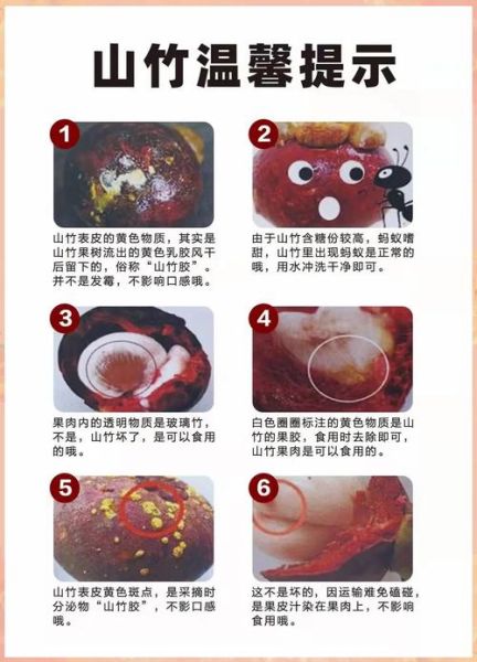 山竹的营养价值_山竹有哪些功效与作用-第3张图片-山城妙识 山竹的营养价值_山竹有哪些功效与作用-第3张图片-山城妙识