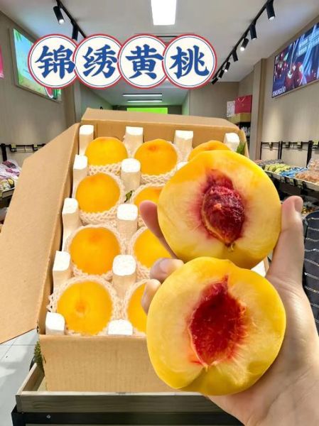 黄桃图库免费下载_黄桃图库怎么使用-第3张图片-山城妙识