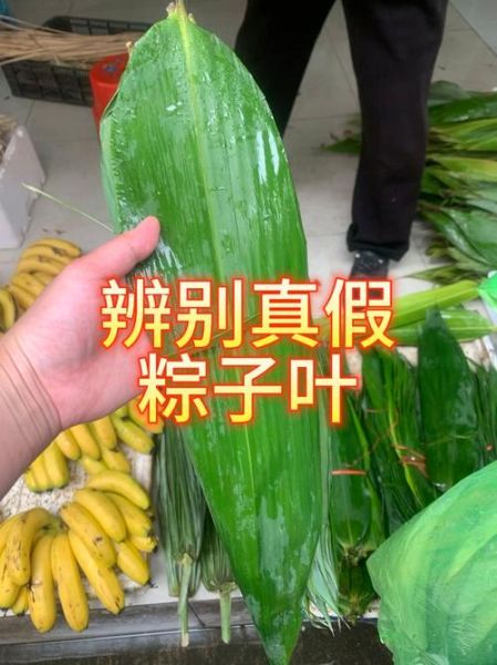 野生粽叶图片_如何辨别真假-第1张图片-山城妙识