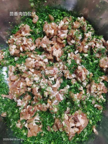 茴香炒肉怎么做_茴香炒肉用哪个部位-第1张图片-山城妙识