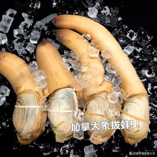 象拔蚌我爱曹仁妻_是什么梗-第1张图片-山城妙识 象拔蚌我爱曹仁妻_是什么梗-第1张图片-山城妙识