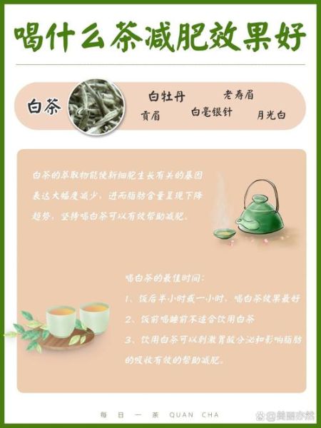 普洱茶怎么喝减肥_普洱茶减肥的正确方法-第3张图片-山城妙识