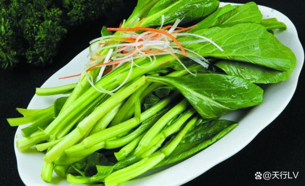 广东青菜种类图片大全_有哪些常见品种-第2张图片-山城妙识 广东青菜种类图片大全_有哪些常见品种-第2张图片-山城妙识