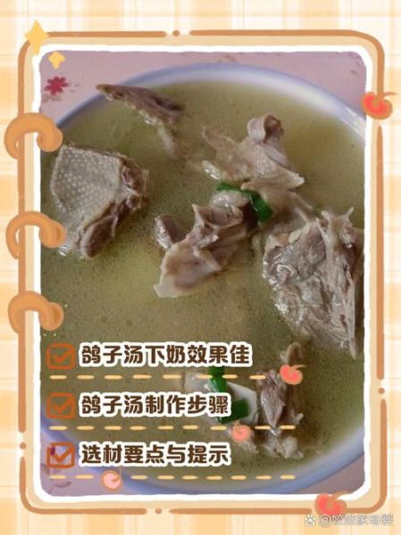 产妇鸽子汤怎么做_坐月子鸽子汤的正确做法-第2张图片-山城妙识 产妇鸽子汤怎么做_坐月子鸽子汤的正确做法-第2张图片-山城妙识