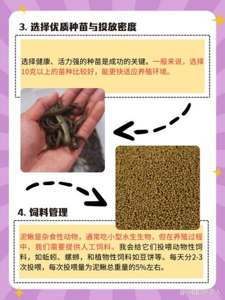 养殖泥鳅鱼一亩地有多少利润_泥鳅养殖成本与利润分析-第1张图片-山城妙识 养殖泥鳅鱼一亩地有多少利润_泥鳅养殖成本与利润分析-第1张图片-山城妙识