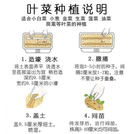 蔬菜种子大全及价格表_哪些品种适合阳台种植-第1张图片-山城妙识 蔬菜种子大全及价格表_哪些品种适合阳台种植-第1张图片-山城妙识