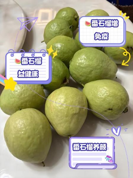 番石榴和石榴的区别_哪个营养价值更高-第2张图片-山城妙识 番石榴和石榴的区别_哪个营养价值更高-第2张图片-山城妙识