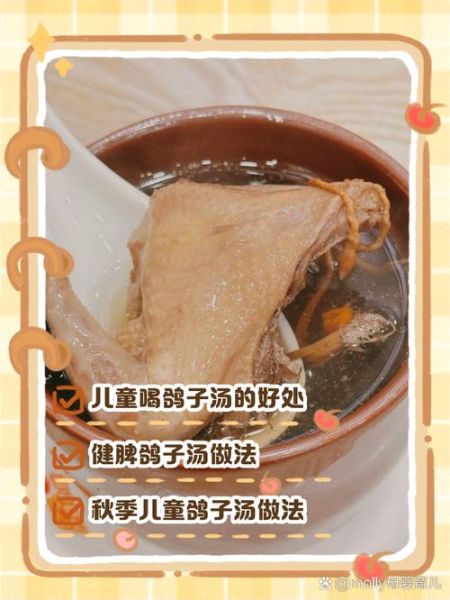 鸽子汤小孩吃怎么炖最营养_鸽子汤适合几岁宝宝喝-第3张图片-山城妙识 鸽子汤小孩吃怎么炖最营养_鸽子汤适合几岁宝宝喝-第3张图片-山城妙识