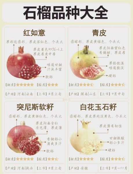 石榴的营养价值_石榴有哪些营养成分-第2张图片-山城妙识