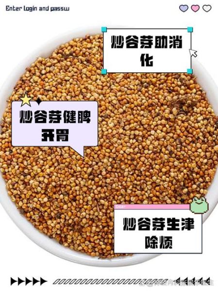 谷芽麦芽炒与不炒的区别_哪个更好-第3张图片-山城妙识