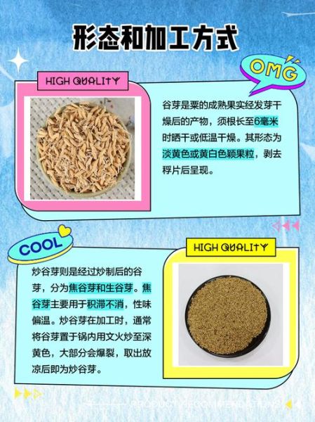 谷芽麦芽炒与不炒的区别_哪个更好-第1张图片-山城妙识