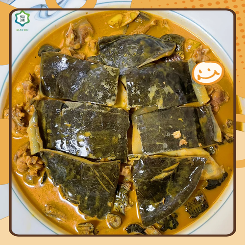 鳖的做法大全_鳖汤怎么炖最补-第1张图片-山城妙识 鳖的做法大全_鳖汤怎么炖最补-第1张图片-山城妙识