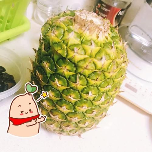 菠萝饭app为什么打不开了_菠萝饭app打不开怎么办-第2张图片-山城妙识