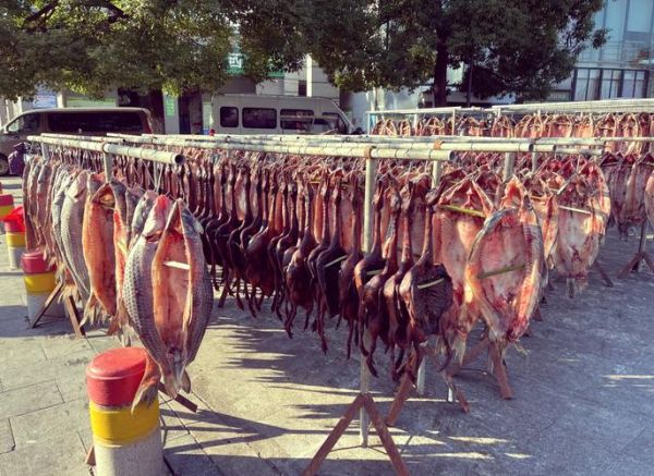 腌晒鱼干怎么做_鱼干怎么晒才好吃-第3张图片-山城妙识 腌晒鱼干怎么做_鱼干怎么晒才好吃-第3张图片-山城妙识