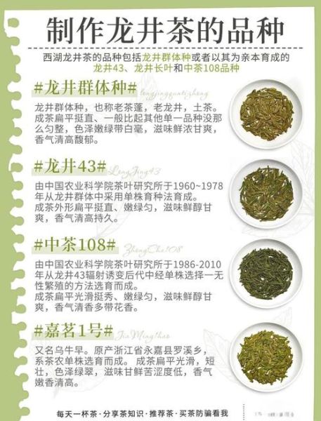 龙井茶属于什么茶类_龙井茶是绿茶吗-第1张图片-山城妙识 龙井茶属于什么茶类_龙井茶是绿茶吗-第1张图片-山城妙识