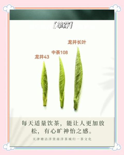 龙井茶属于什么茶类_龙井茶是绿茶吗-第3张图片-山城妙识 龙井茶属于什么茶类_龙井茶是绿茶吗-第3张图片-山城妙识