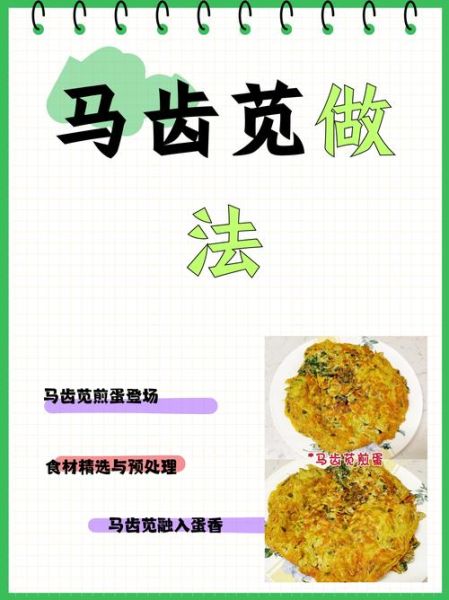 马齿苋能治什么病_马齿苋怎么吃效果最好-第1张图片-山城妙识 马齿苋能治什么病_马齿苋怎么吃效果最好-第1张图片-山城妙识