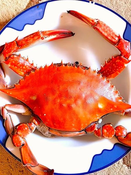 螃蟹怎么拍好看_螃蟹图片高清技巧-第1张图片-山城妙识 螃蟹怎么拍好看_螃蟹图片高清技巧-第1张图片-山城妙识