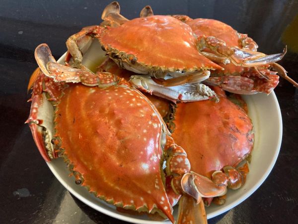 螃蟹怎么拍好看_螃蟹图片高清技巧-第2张图片-山城妙识 螃蟹怎么拍好看_螃蟹图片高清技巧-第2张图片-山城妙识