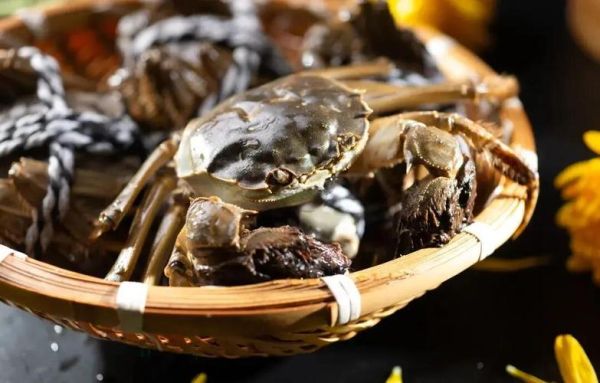 六月黄大闸蟹产地在哪里_六月黄和阳澄湖区别-第1张图片-山城妙识 六月黄大闸蟹产地在哪里_六月黄和阳澄湖区别-第1张图片-山城妙识