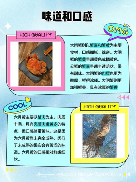 六月黄大闸蟹产地在哪里_六月黄和阳澄湖区别-第3张图片-山城妙识 六月黄大闸蟹产地在哪里_六月黄和阳澄湖区别-第3张图片-山城妙识