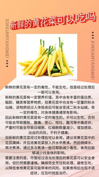 黄花菜的功效与作用_黄花菜怎么吃-第2张图片-山城妙识 黄花菜的功效与作用_黄花菜怎么吃-第2张图片-山城妙识
