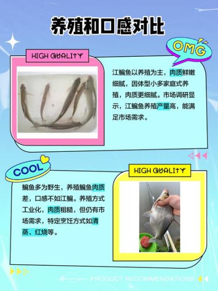 鳊鱼种类有哪些_鳊鱼和武昌鱼区别-第3张图片-山城妙识