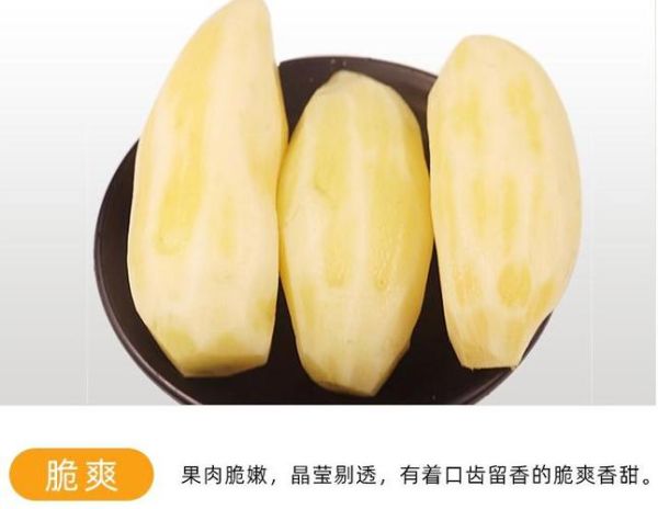 雪莲果吃死人是真的吗_雪莲果中毒症状-第3张图片-山城妙识