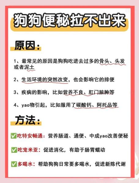 20秒快速排便方法_便秘怎么快速排便-第1张图片-山城妙识