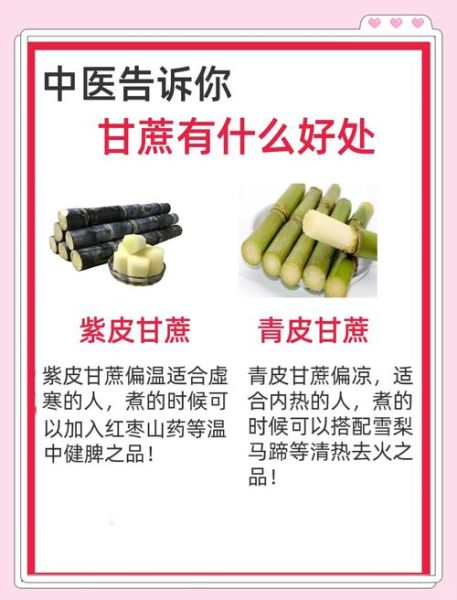 甘蔗吃多了有什么副作用_甘蔗性寒还是性热-第2张图片-山城妙识