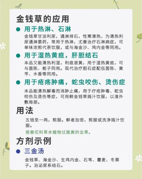 金钱草的功效与作用_金钱草有什么副作用-第1张图片-山城妙识 金钱草的功效与作用_金钱草有什么副作用-第1张图片-山城妙识