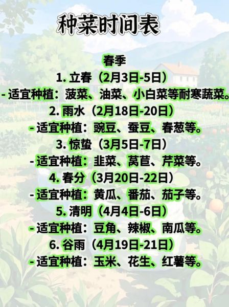 菜头怎么种_菜头种植时间和方法-第2张图片-山城妙识