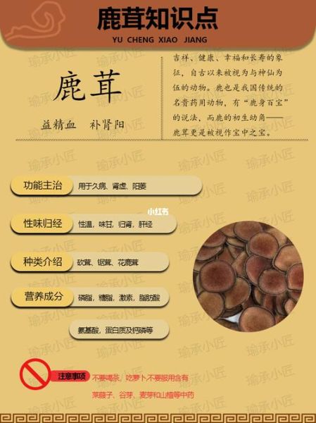 鹿茸的功效与作用吃法用量_鹿茸怎么吃效果最好-第1张图片-山城妙识