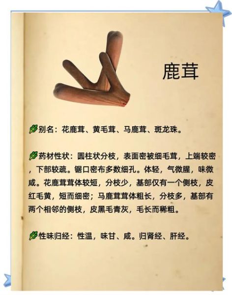 鹿茸的功效与作用吃法用量_鹿茸怎么吃效果最好-第2张图片-山城妙识