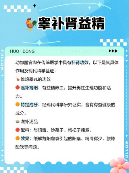 鸡子是什么意思_鸡子是鸡蛋还是鸡睾丸-第2张图片-山城妙识