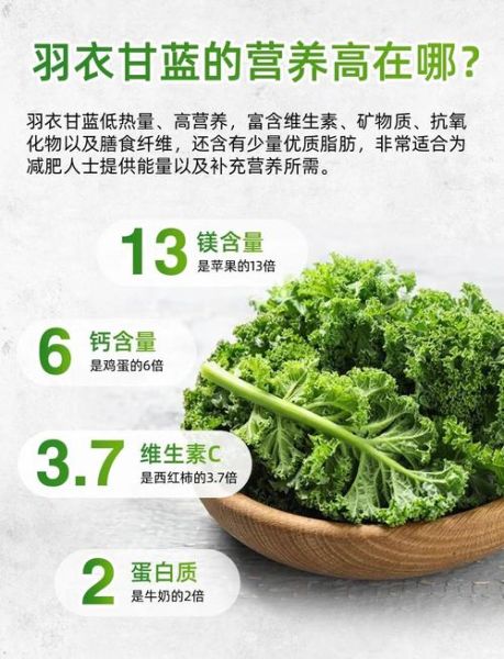 羽衣甘蓝粉可以每天喝吗_长期饮用副作用-第1张图片-山城妙识