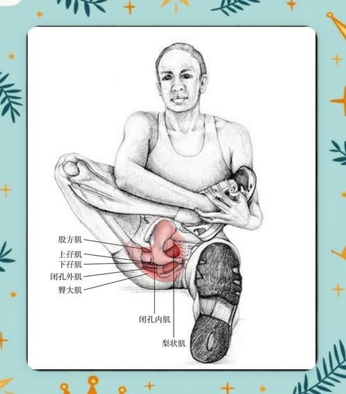 梨状肌位置在哪_梨状肌疼痛怎么缓解-第1张图片-山城妙识