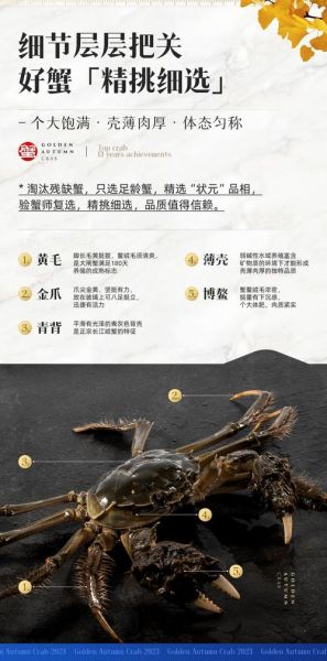 螃蟹交易平台官网怎么交易_螃蟹交易平台交易流程-第3张图片-山城妙识 螃蟹交易平台官网怎么交易_螃蟹交易平台交易流程-第3张图片-山城妙识