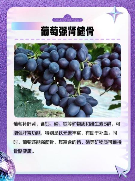 补肾水果有哪些水果_男人吃什么水果补肾-第2张图片-山城妙识 补肾水果有哪些水果_男人吃什么水果补肾-第2张图片-山城妙识