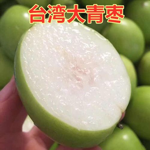 青枣树几年结果_青枣树怎么修剪-第2张图片-山城妙识 青枣树几年结果_青枣树怎么修剪-第2张图片-山城妙识