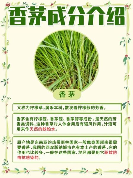 香茅草精油的功效与作用_香茅草精油怎么使用-第2张图片-山城妙识