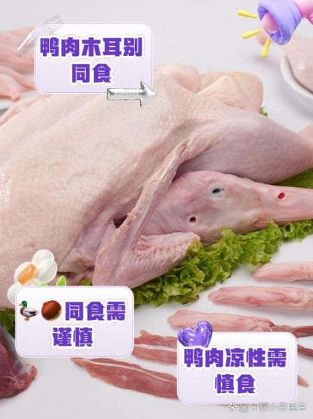 鸭肉和什么蔬菜相克_吃鸭肉不能配哪些菜-第1张图片-山城妙识 鸭肉和什么蔬菜相克_吃鸭肉不能配哪些菜-第1张图片-山城妙识